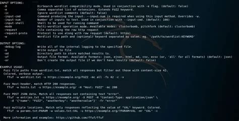 Установка и примеры использования FFuF на Kali Linux