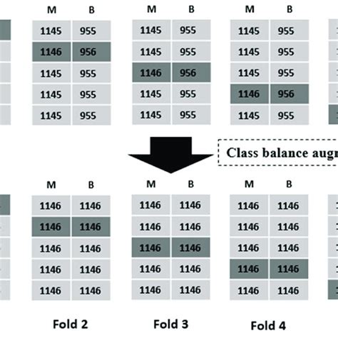 Sample Images From The Digital Database For Screening Mammography Download Scientific Diagram