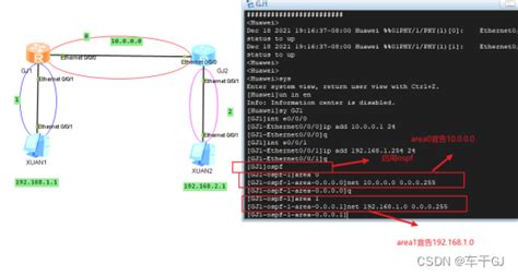杭电计网实验13 Ospf 基本配置（球球、球球，可以点个赞吗）杭电计网理解路由协议的工作原理 掌握在路由器上如何配置 Ospf 路由协议。 Csdn博客