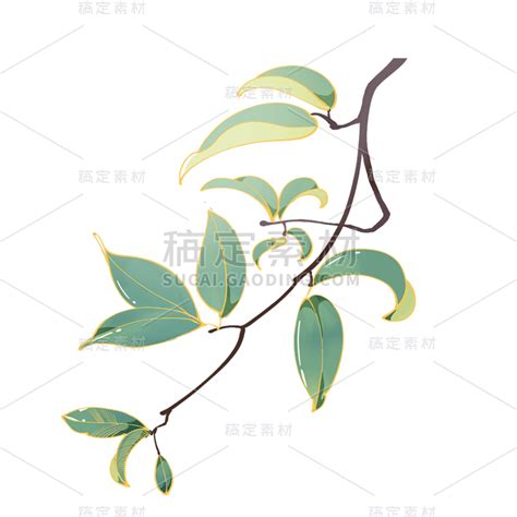 植物卡通素材 高清植物卡通素材下载 10000个植物卡通素材大全 稿定设计
