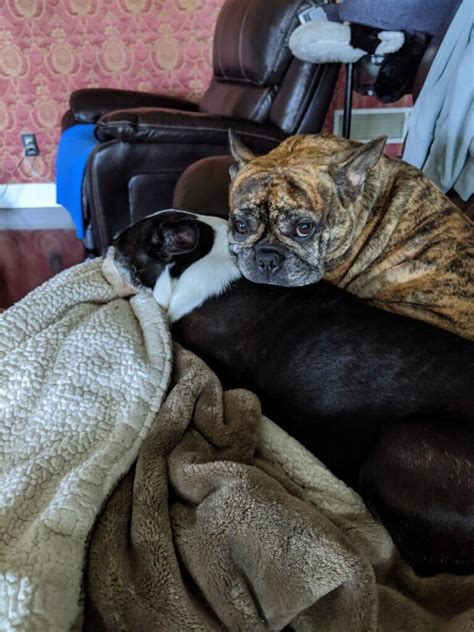 Shes A Mush Scrolller