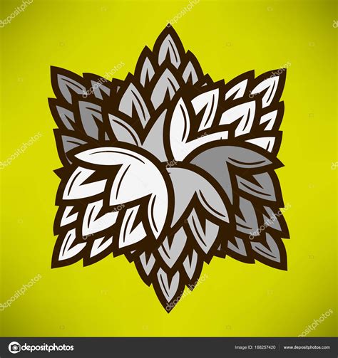 Star Geometry With Beer Hops Vector Graphic — Stock Vector © Anton345