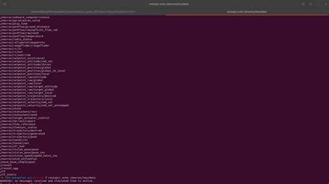 Roslaunch Px4 Mavros Posix Sitl Launch Publish Nothing But Separately Roslaunch Empty World And