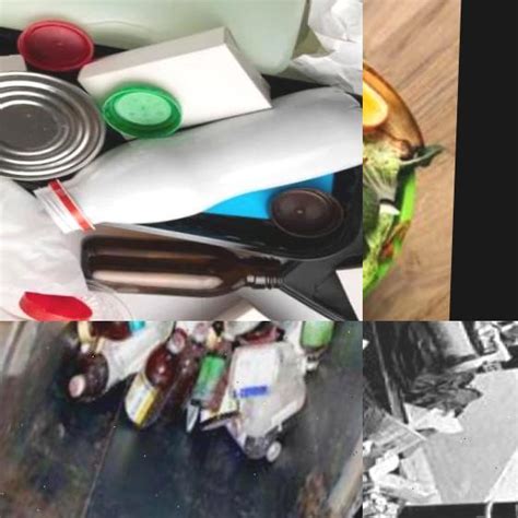 Classification Instance Segmentation Dataset By Classification