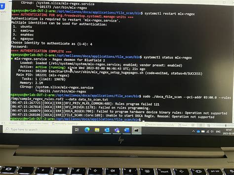 DPU Bluefield Regex Does Not Work BlueField NVIDIA Developer Forums