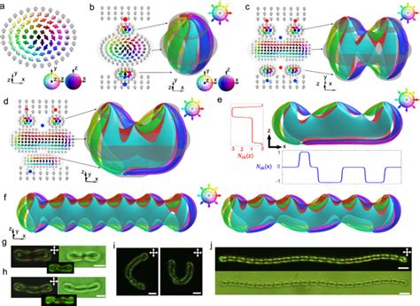 Topological Solitonic Macromolecules Nature Communications X Mol