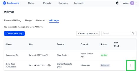 api keys landingai