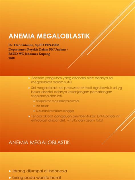 Anemia Megaloblastik Pdf