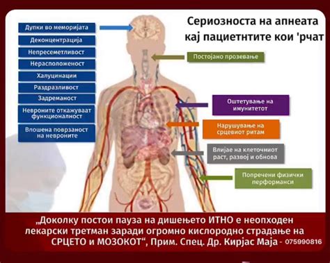 Prim Spec Dr Kirjas Maja Prim Spec Dr Kirjas Maja