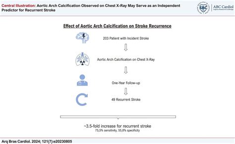 Aortic Arch Calcification Observed On Chest X Ray May Serve As An