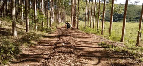 Positioning Of The Plots Download Scientific Diagram