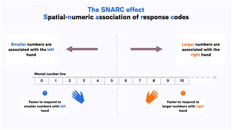 Snarc Effect Task Get Our Template And Adapt It For Your Own Research