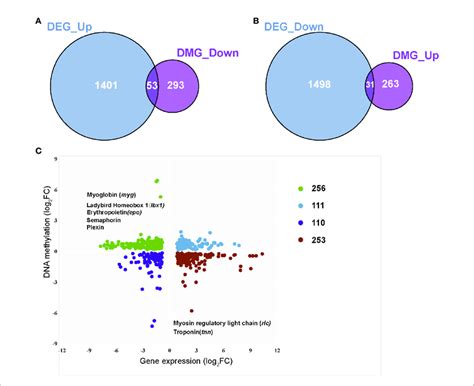 Integrated Analysis Of The Genome Wide Dna Methylation And Gene