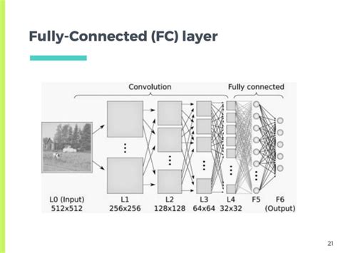 Skin Lesion Detection From Dermoscopic Images Using Convolutional