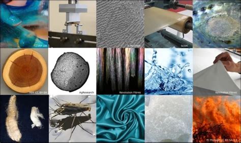 Computational Science Vs Computer Science Understanding The Key