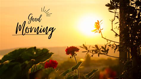 Дэлхийн Тэнгэр Дэлхийн Тэнгэр Шүтлэгтний Нэгдсэн Холбоо