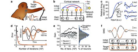 Controlling Network Activity Through Neuron Specific Gain Modulation