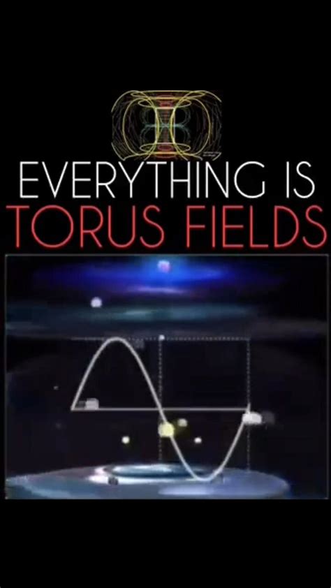The Torus Field Our And Mother Gaias One News Page Video