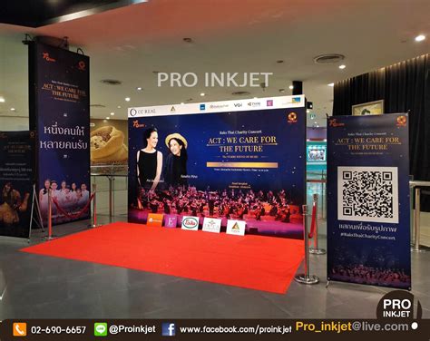 ฉากbackdrop แบลคดรอป ฉากถ่ายรูปราคาถูก ผลิตจากฟิวเจอร์บอร์ด สีสัน