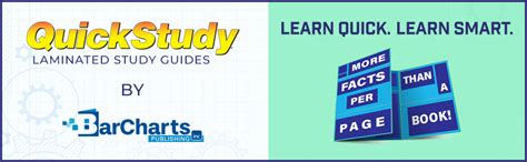 English Grammar Punctuation QuickStudy Laminated Reference Guide