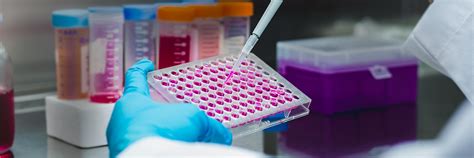 Trf Assay Performance Of The Envision Nexus Multimode Plate Reader Revvity