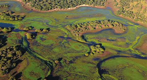 Monitoramento Das Alterações Da Cobertura Vegetal E Uso Do Solo Na