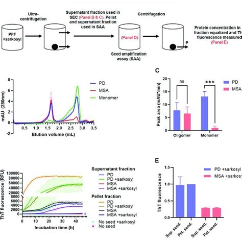 Stability Of Patient Derived Pd And Msa Aggregates In Detergents Four