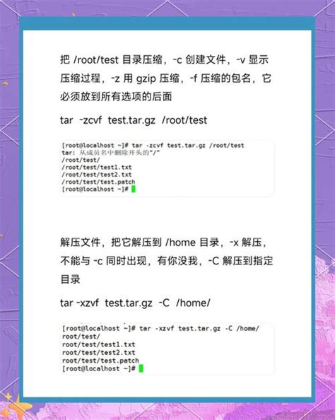 linux系统下7z文件解压技巧：安装p7zip及常用解压方法详解 linux命令大全 手册