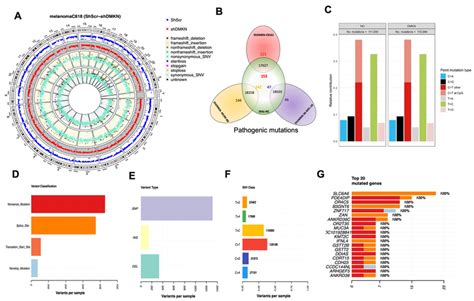 The Whole Genome And Targeted Exome Sequencing Results After The