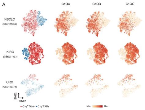 文献解析｜巨噬细胞遇上代谢重编程 知乎