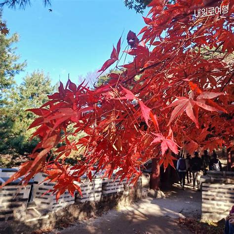 성곽길 따라 만나는 조선의 흔적 내일로여행