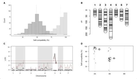 quantitative trait locus qtl analysis for self compatibility sc