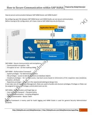SSL Configuration Within SAP HANA PDF Computer Software And Applications Computing