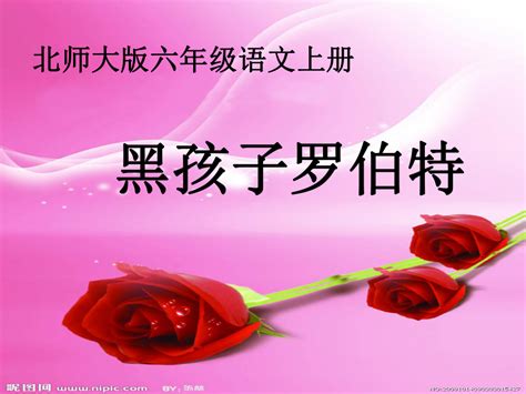 黑孩子罗伯特