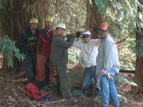 Brads Stump And Tree Service Arlington Washington 24 7 Storm Damage Tree Removal Arlington