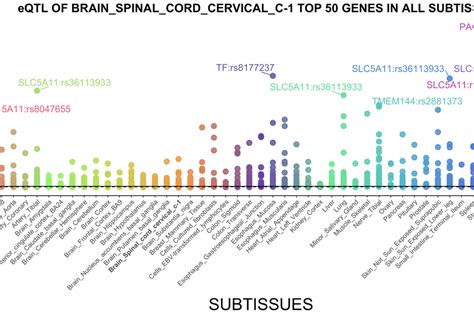 Rna Seq Spinal Cord Cervical C 1