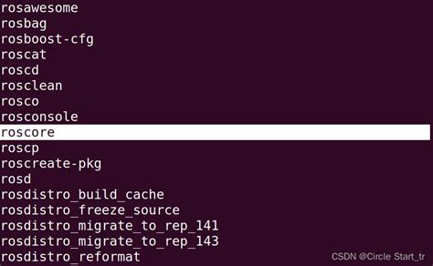 Ubuntu2004 Rosnoetic安装ros Noetic Csdn博客