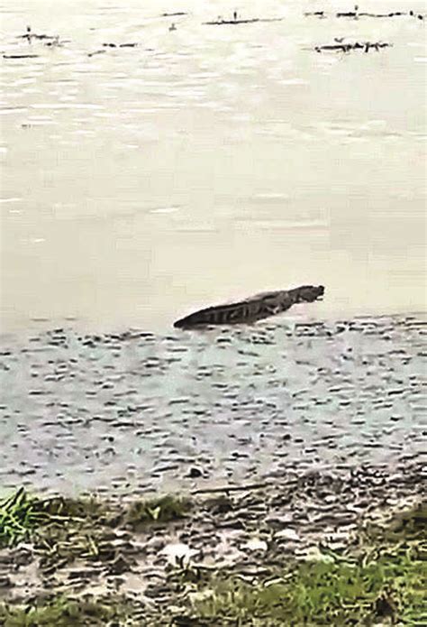 Pandesara Surat Map Property Rates Projects Photos Reviews Info