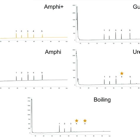 Reverse Phase High Performance Liquid Chromatography RP HPLC Download Scientific Diagram
