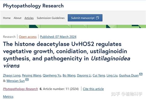 吉林农业大学孙文献教授团队在稻曲病菌组蛋白去乙酰化酶调控黑粉菌素的生物合成机制方面取得新进展 知乎