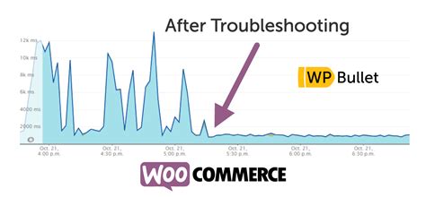 WooCommerce Slow Store Case Study 20 Sec Response Times To Under 1 Sec