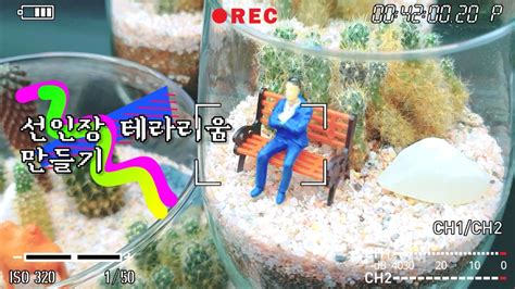 선인장 테라리움 만들기 씨앗부터 키운 선인장 테라리움 만들기 테라리움 만드는 방법 한번에 알아보기 식물 성장 기록 식물일기 Youtube