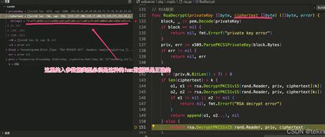 Golang Rsa 解密前端jsencrypt发送的数据时异常 Cryptorsa Decryption Error 解决方法 Csdn博客