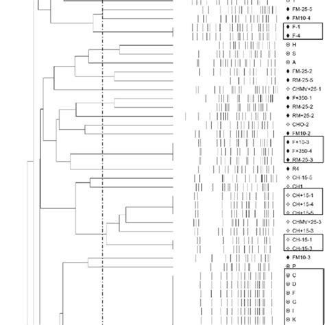 Dendrogram Of E Coli Strains Isolated From Wwtp Nfp And Sfp