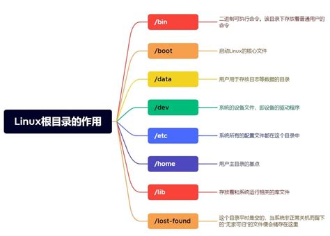 深入解析linux目录体系：从根目录到 bin目录的全面指南 linux命令大全 手册