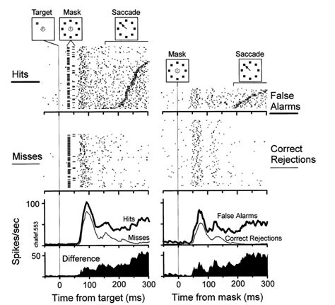 Research Publications Schall Laboratory At York University