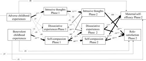 Model Of Relations Between Independent Variables And Maternal Download Scientific Diagram