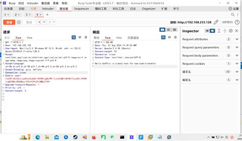 Serial靶机 Csdn博客