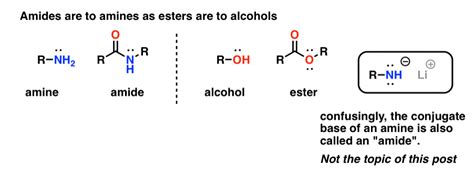 Amides Examples