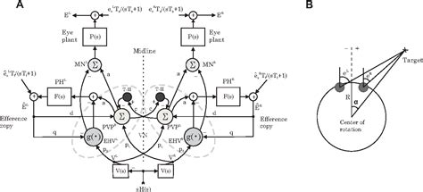 Figure 1 From Neural Computation In The Binocular Vor Circuit A